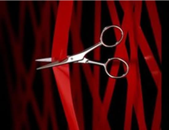 Red tape taskforce gets green light | PS News