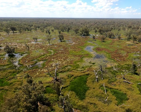 The right to a healthy environment: What it means for climate policy ...