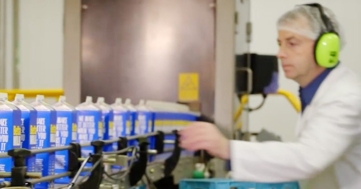 Burnie’s Betta Milk factory and 47 jobs to go as Bega consolidates ...