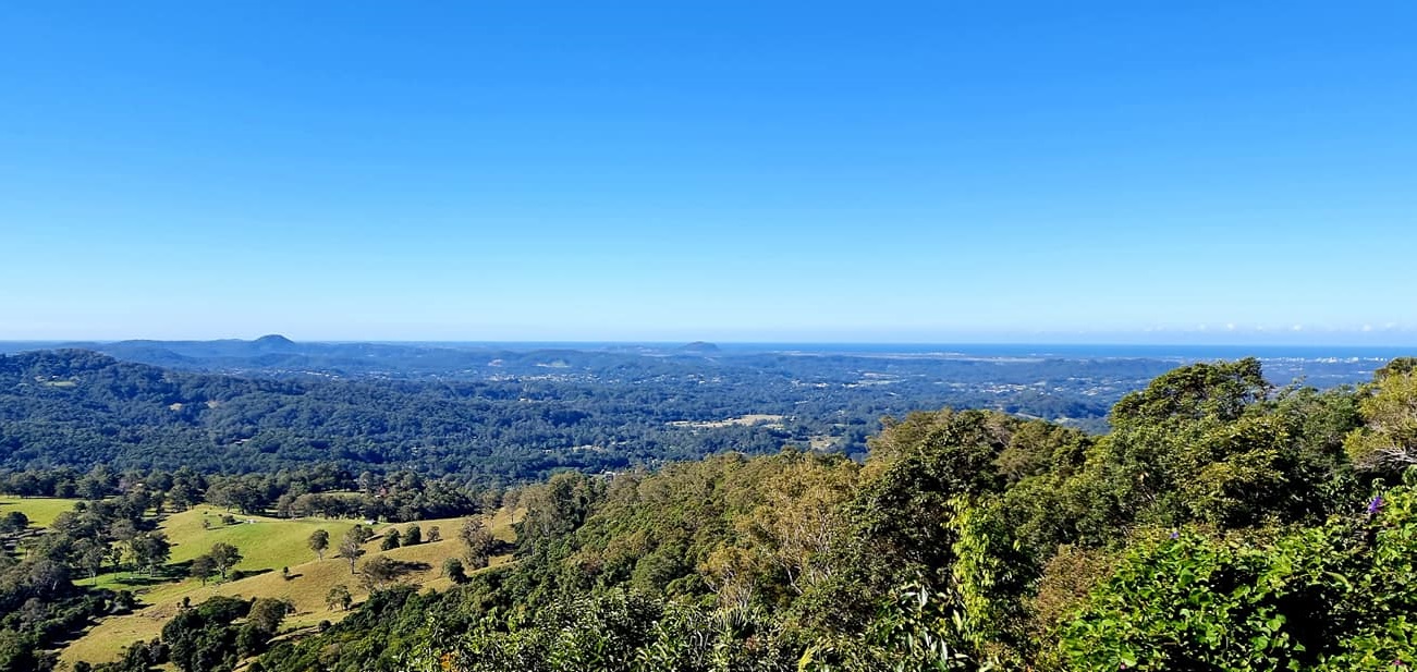 QLD Government to add 12,000 hectares of state forests to protected ...