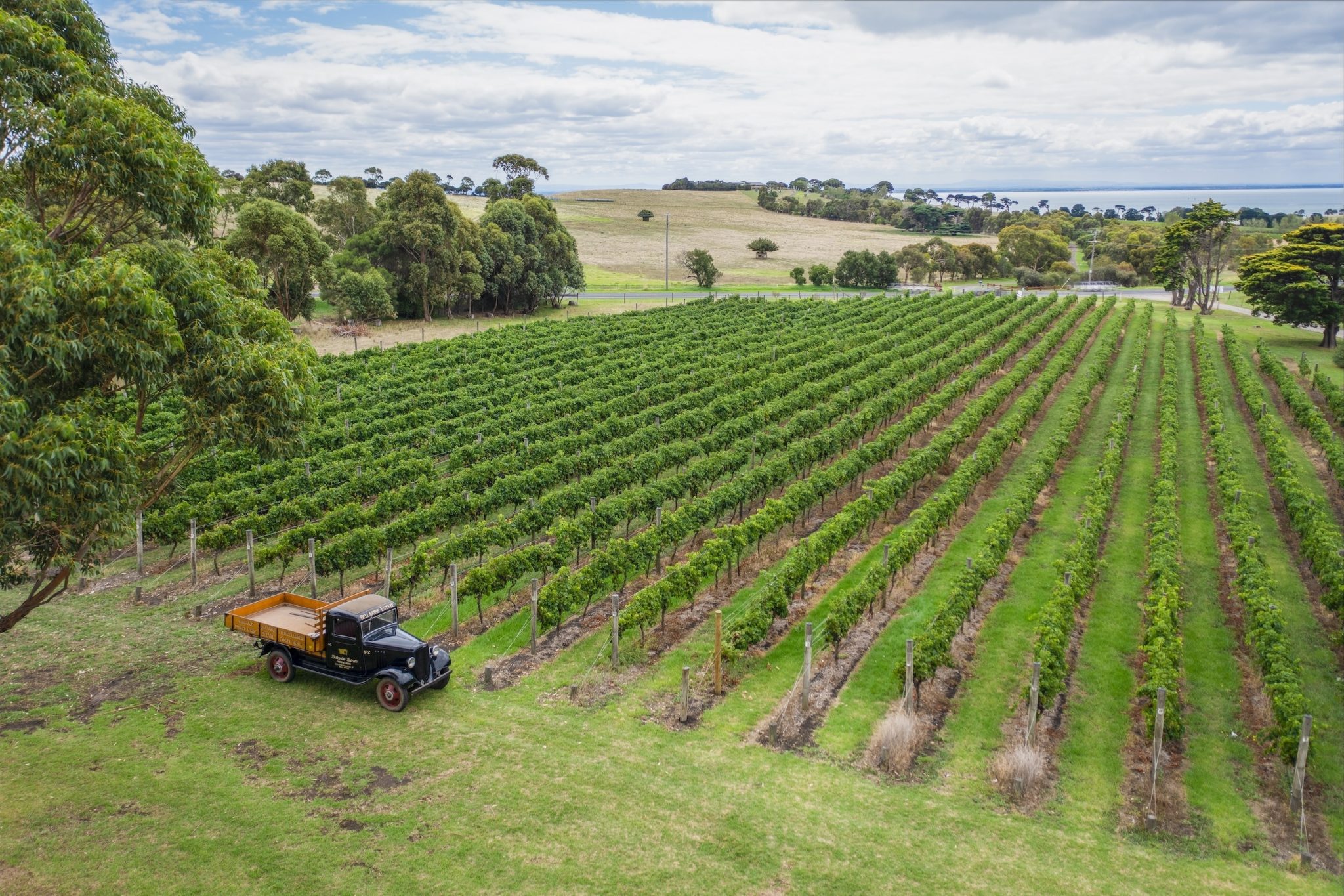 Bellarine Estate is Victoria’s ultimate coastal winery escape | PS News